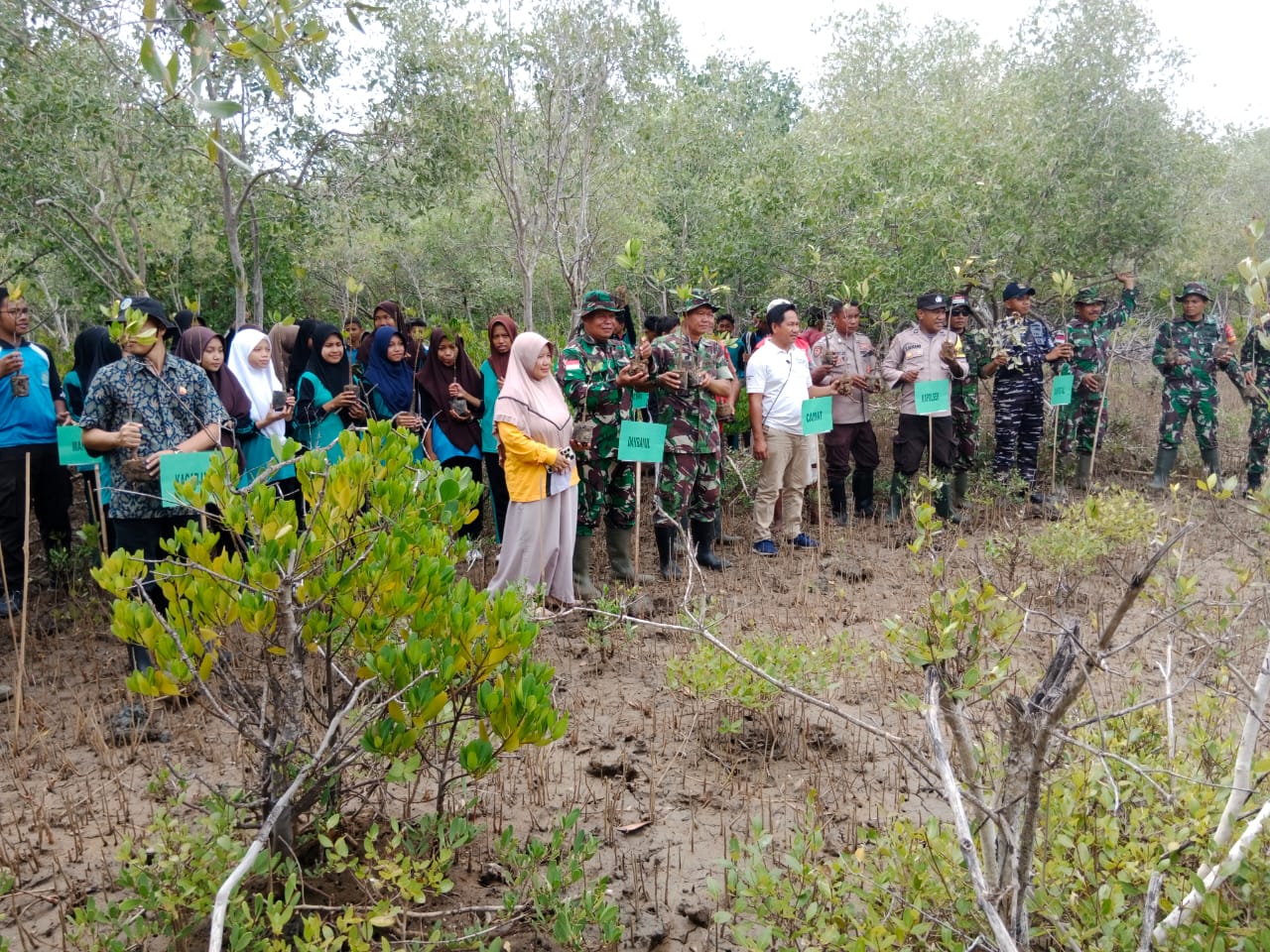 Peduli Lingkungan, Koramil Reo Gelar Karya Bakti dan Penanam Pohon Mangrove